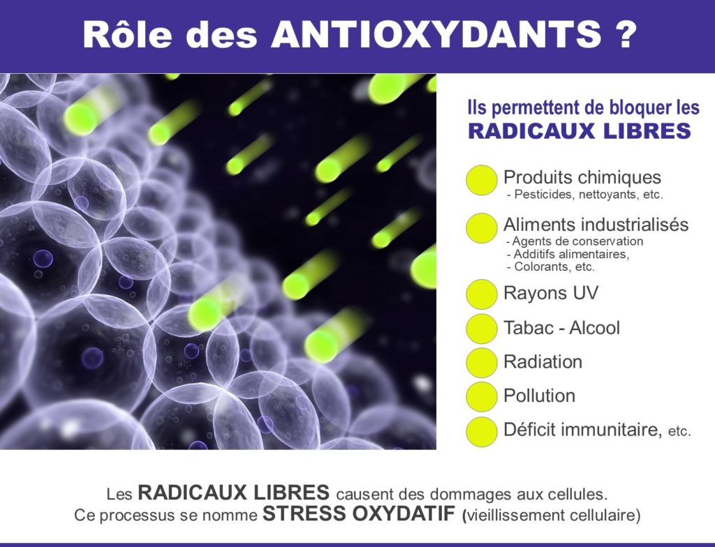 Le rôle des antioxydants - Fruitomed
