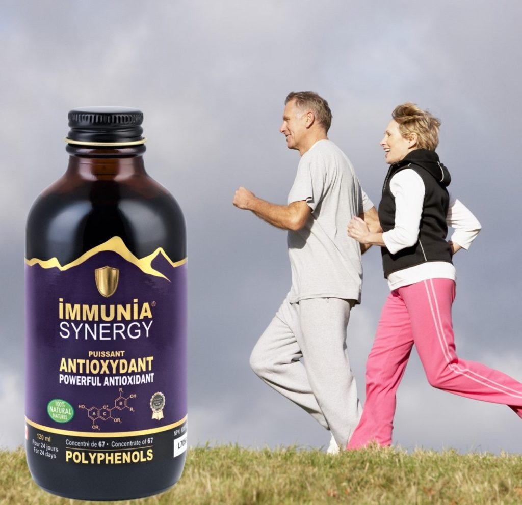 POLYPHENOLS SUPPLEMENT- IMMUNIA SYNERGY Natural Antioxidant