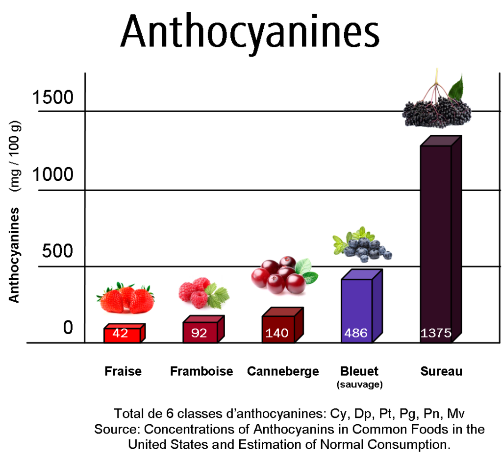 Anthocyanines - Fruitomed
