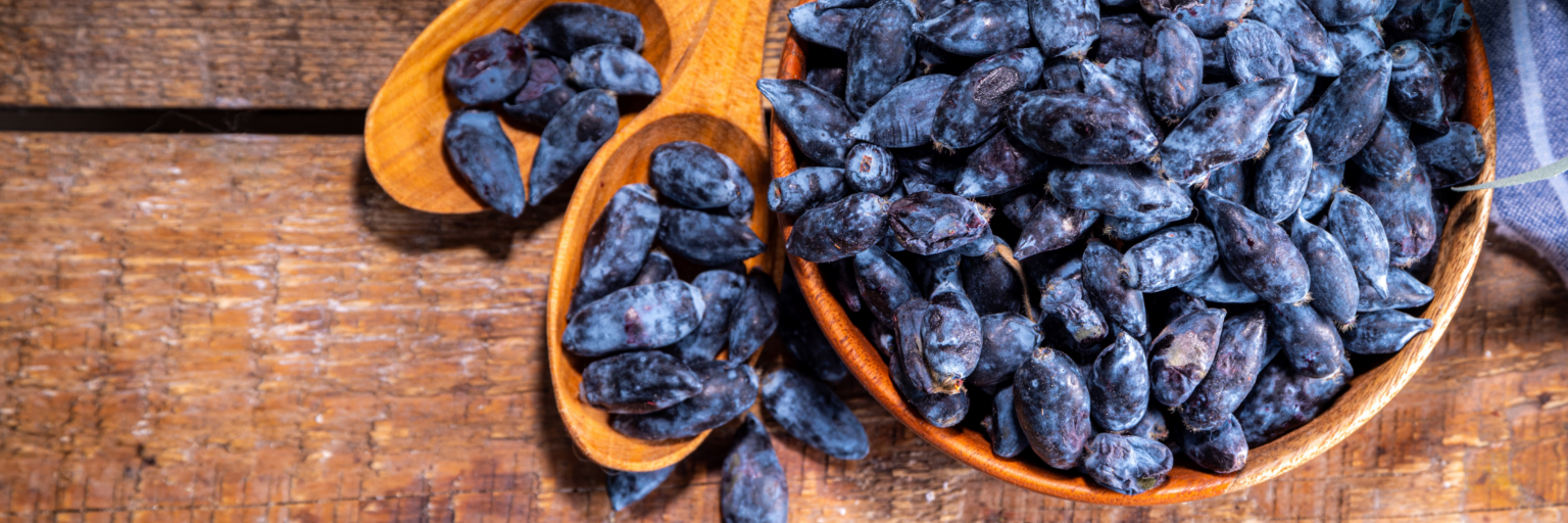 Haskap Berry: A Northern Superfruit with Remarkable Health Benefits ...